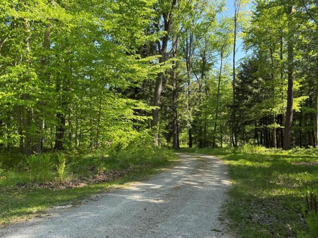 3532 wilderness trail
