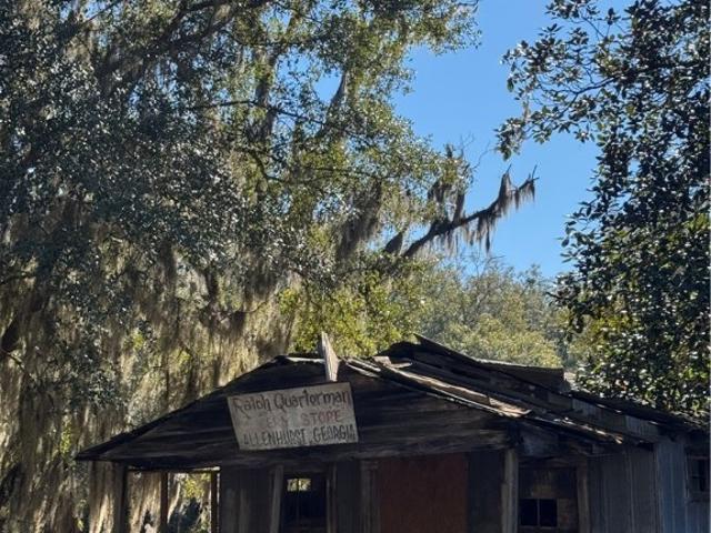 353 Wilder Rd, Allenhurst, GA 31301 | MLS #SA345228
