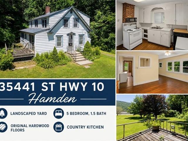 35441 State Highway 10, Hamden, NY 13782