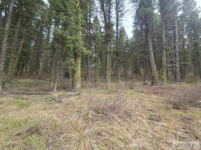 3548 Aspen Dr, Island Park, ID 83429