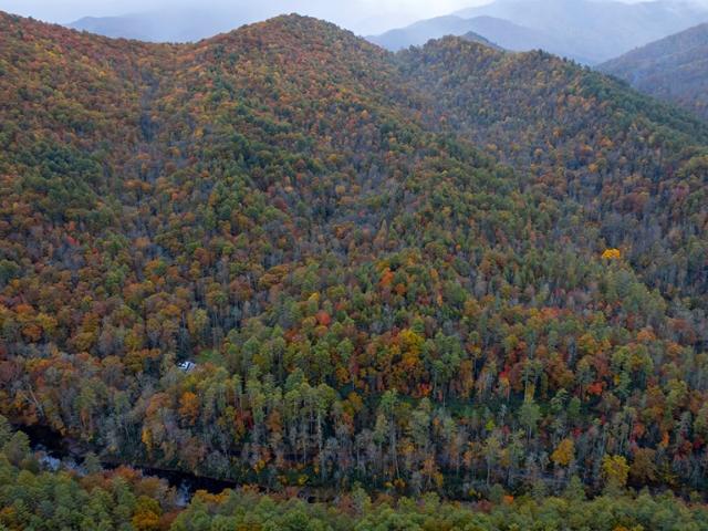 3549P Snowbird Road
