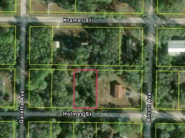35415 Holmes St, Webster, FL 33597