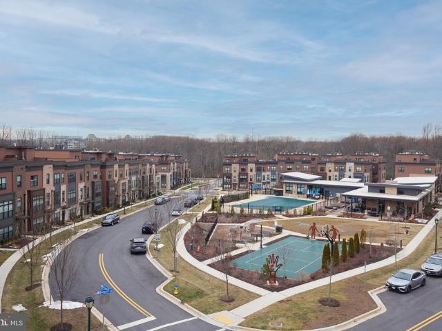 3541 Bellflower Lane