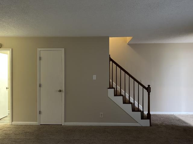 3541 Gondola Dr
