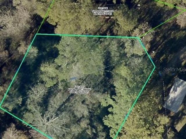 35436 Reynolds St, Dade City, FL 33523