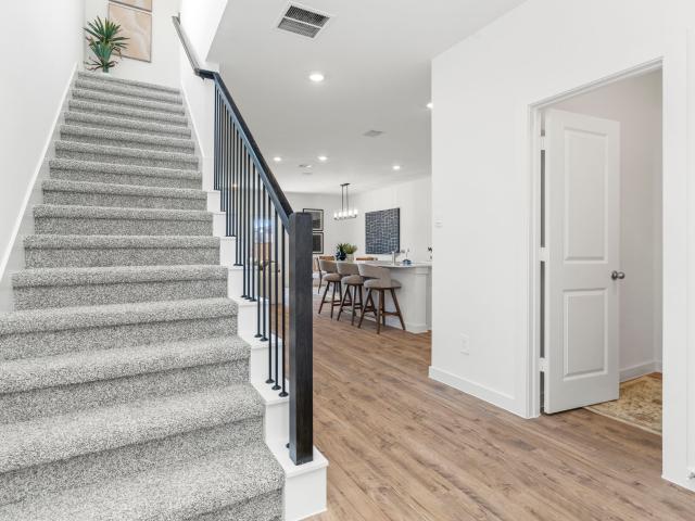 3543 Lovebird Lane