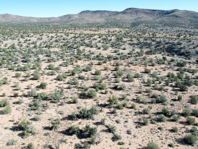 354 42 N Stephan Rd, Kingman, AZ 86401 | MLS #038060
