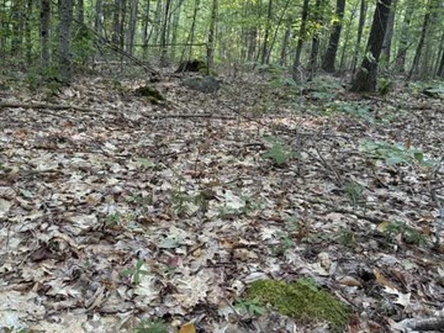 354 Dickinson Hill Rd, Bolton Landing, NY 12824