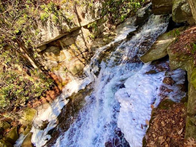 354 Spring Mountain Road