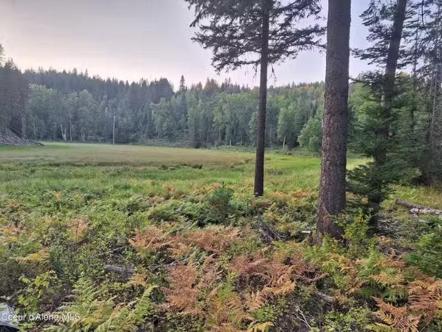 354 Swamp Donkey Trail, Sandpoint, ID 83864 651921662