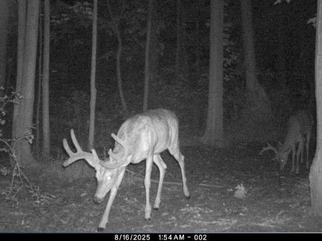 3554 & 3348 Beebe Road