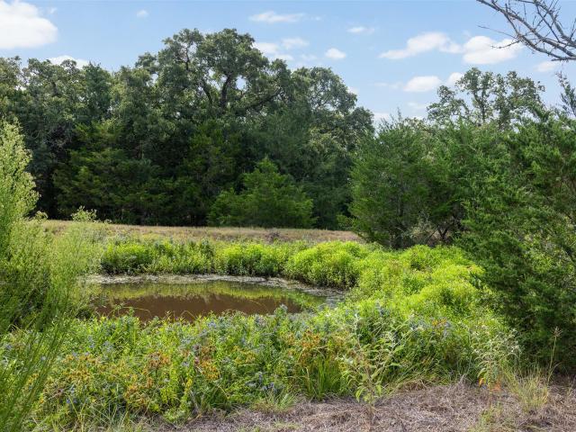 3555 County Road 430