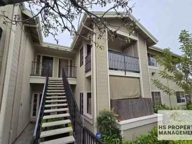 3555 Grove St #236 _ 3555 Grove St