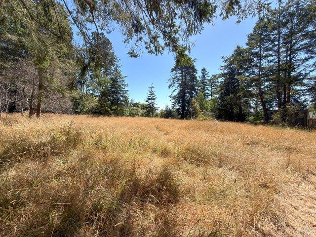 35515 Timber Ridge Rd, The Sea Ranch, CA 95497