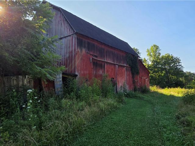 35515 State Route 800