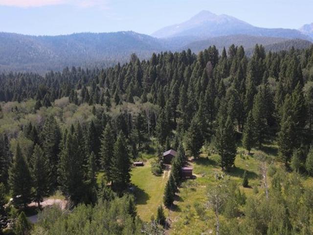 3552 Rock Creek Ln, Island Park, ID 83429