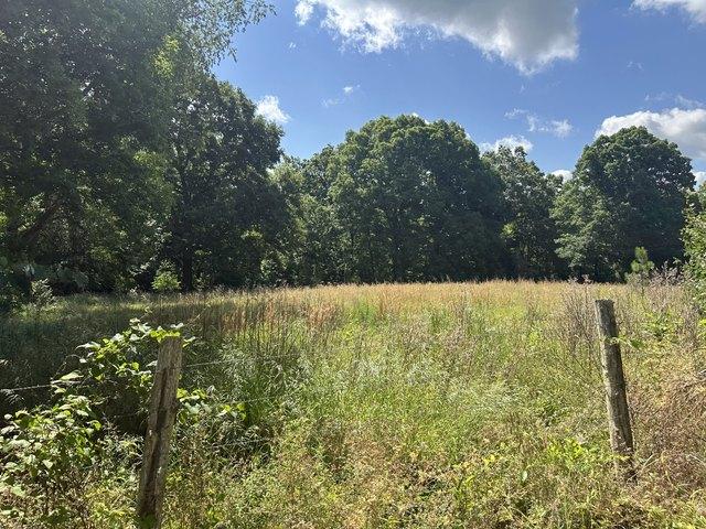355 Albert Ivy Ln, Parsons, TN 38363