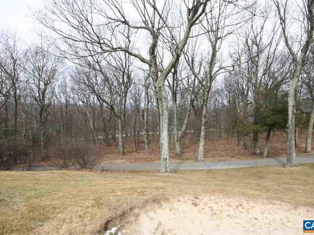355 Devils Knob Loop, Roseland, VA 22967 | MLS #543117