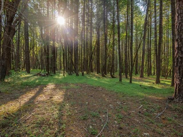355 Firview Ln, Wilderville, OR 97543