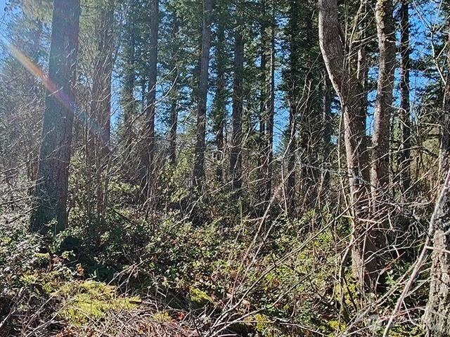355 xx 312th Way SE, Enumclaw, WA 98022 | MLS #2478