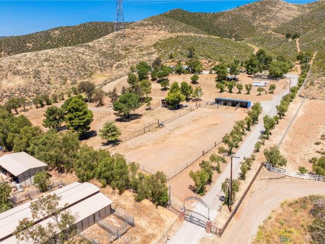 35675 Peppertree