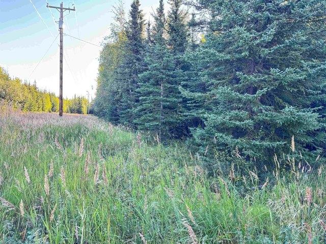 3567 Nistler 1/2 of Se1/4 Sw1/4 Nw1/4 Rd Lot W, Delta Junction, AK 99737