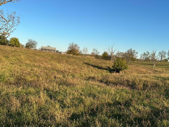 3569 Cynthiana Road