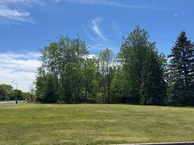 356 Continental Dr, Lockport, NY 14094