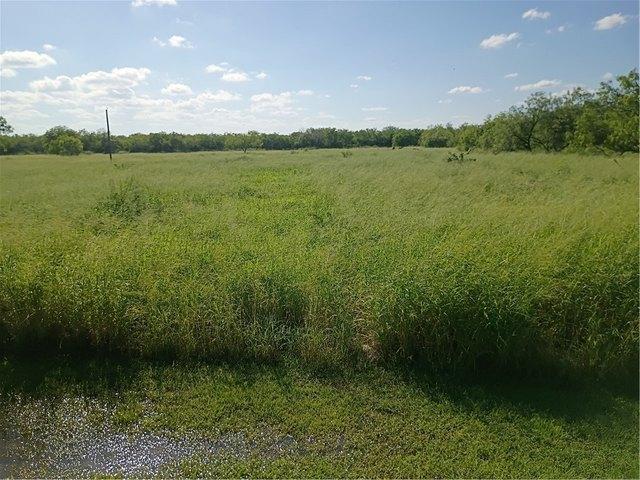 356 Deer Meadows Dr Lot 23, Alice, TX 78332