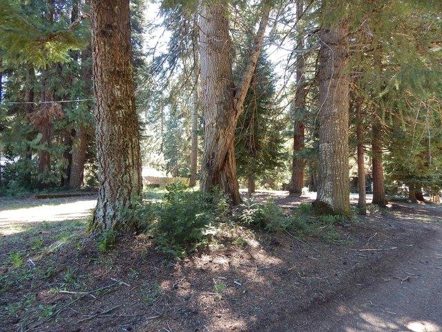 356 M Ln, Prospect, OR 97536