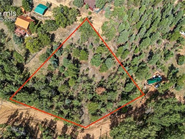 356 Wakanda Trl, Woodland Park, CO 80863