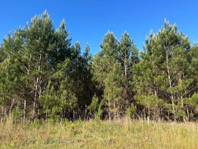3574 E Cottonwood Rd, Dothan, AL 36301