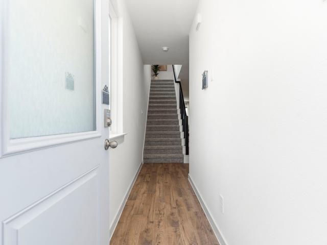 3574 Lovebird Lane