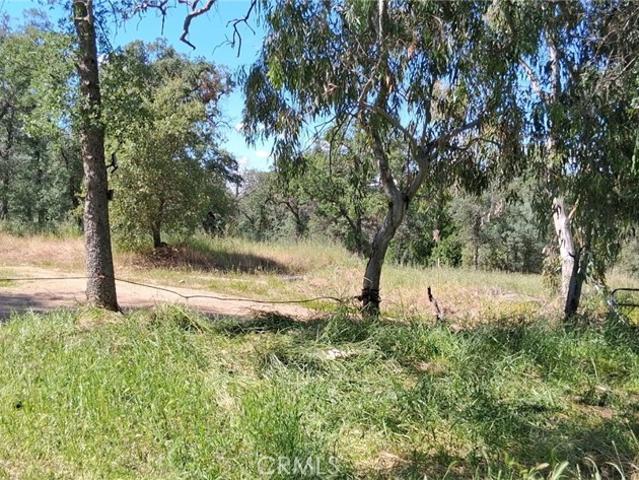 35778 Wells Rd, Coarsegold, CA 93614 | MLS #FR26092
