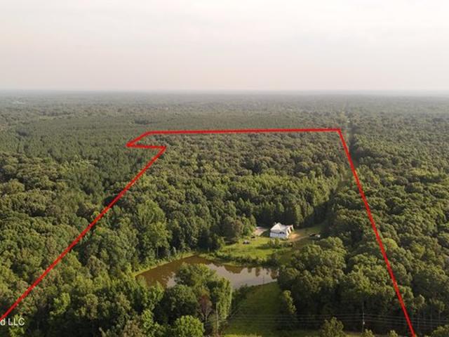 3579 Bett Rd, Coldwater, MS 38618