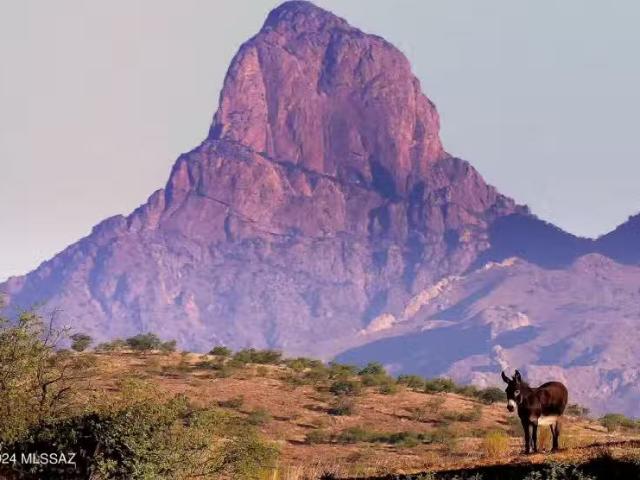 35700 S CEDAR CREEK RD, ARIVACA, AZ 85601 Vacant Land For Sale.
