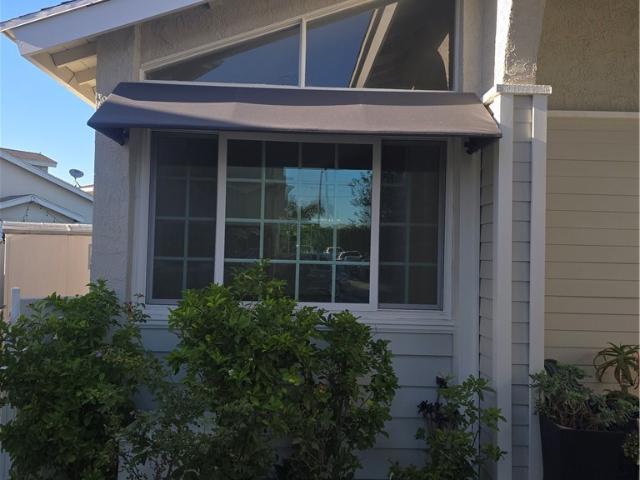 3571 Carnation