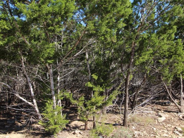 357 Big Bend Dr, Canyon Lake, TX 78133 | MLS #53295