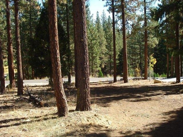 357 Big Grizzly Lot 218, Portola, CA 96122