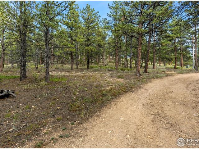 357 Big John Rd, Lyons, CO 80540 | MLS #1043