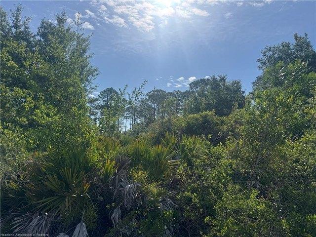 357 Durham Ave, Lake Placid, FL 33852