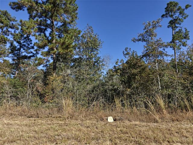 357 Iron Horse Rd, New Waverly, TX 77358 | MLS #8348