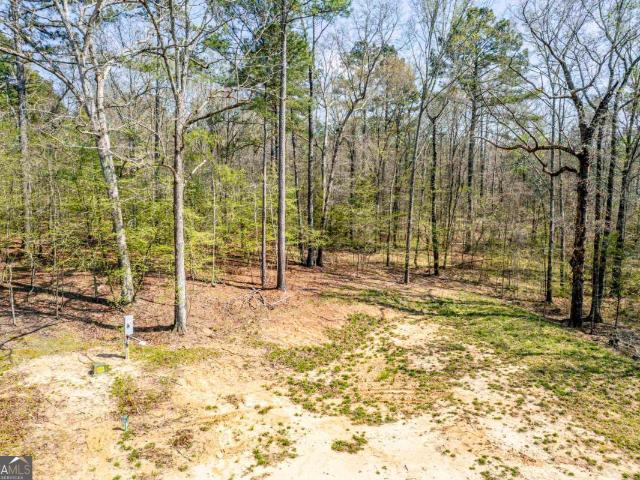 357 Old Copelan Rd SE, Eatonton, GA 31024 | MLS #10721 | Compass