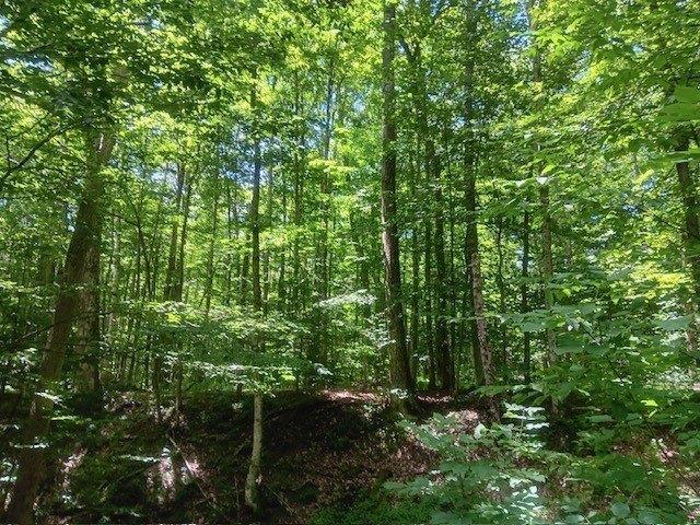 357 Norton Rd, Schenevus, NY 12155