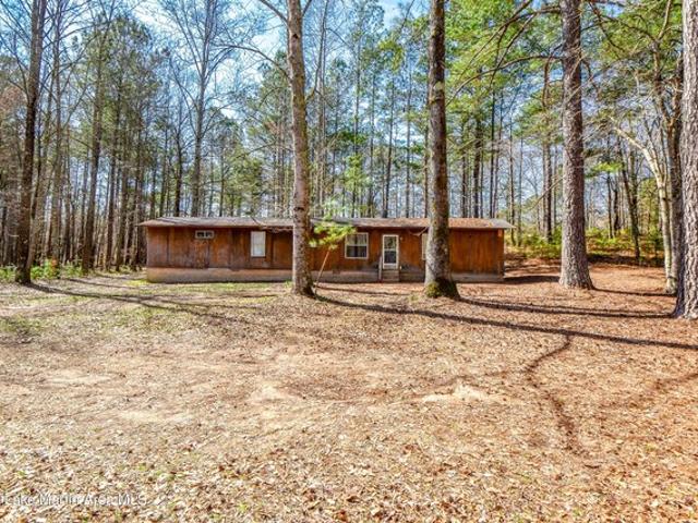 357 Walkabout Ranch Rd, Daviston, AL 36256