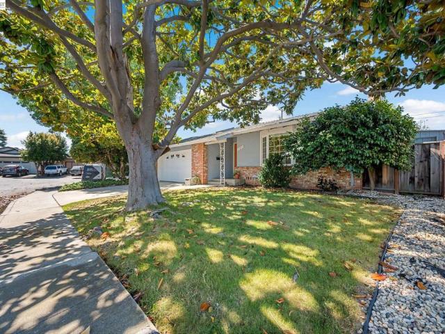 35843 Salvador Ct