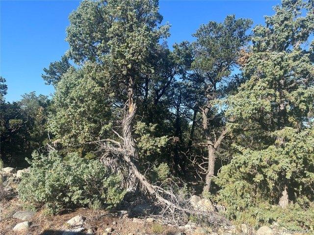 3587 3 Alfresco Way, Crestone, CO 81131