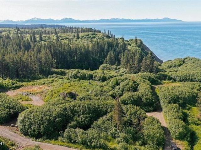 35899 and 35931 Danver St, Anchor Point, AK 99556