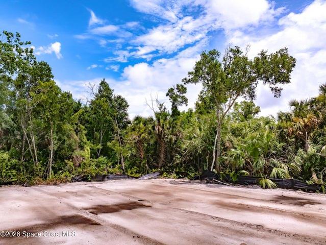 3580 Weeping Willow St, Melbourne, FL 32934