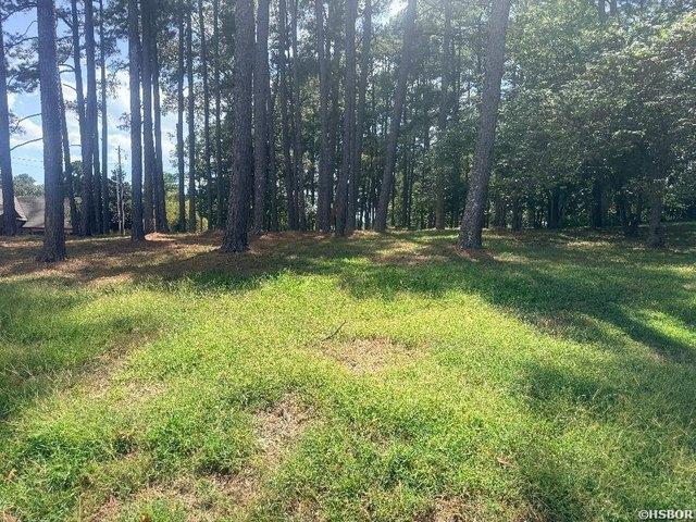 358 Housley Pt, Hot Springs, AR 71913